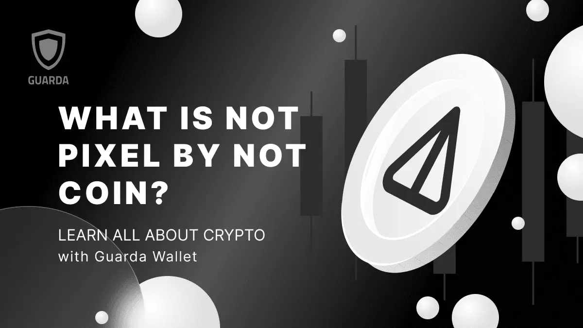 What is Not Pixel by Not Coin? Exploring the Game-Changing Ecosystem of ...
