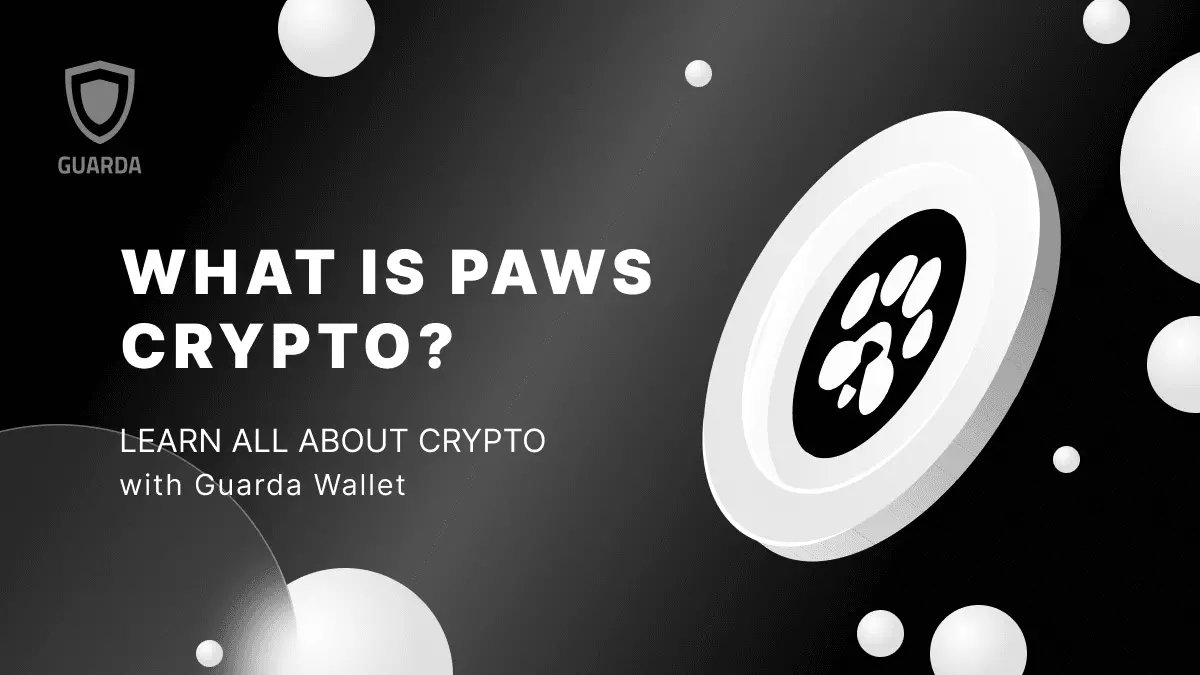 What is Paws Crypto? A Dive into the Innovative Play-to-Earn Ecosystem ...