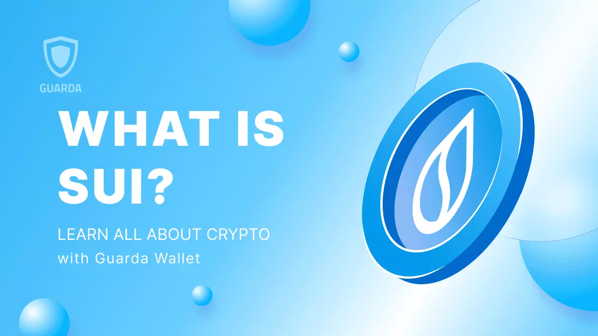 What is SUI? A Comprehensive Guide to the SUI Blockchain | Academy ...